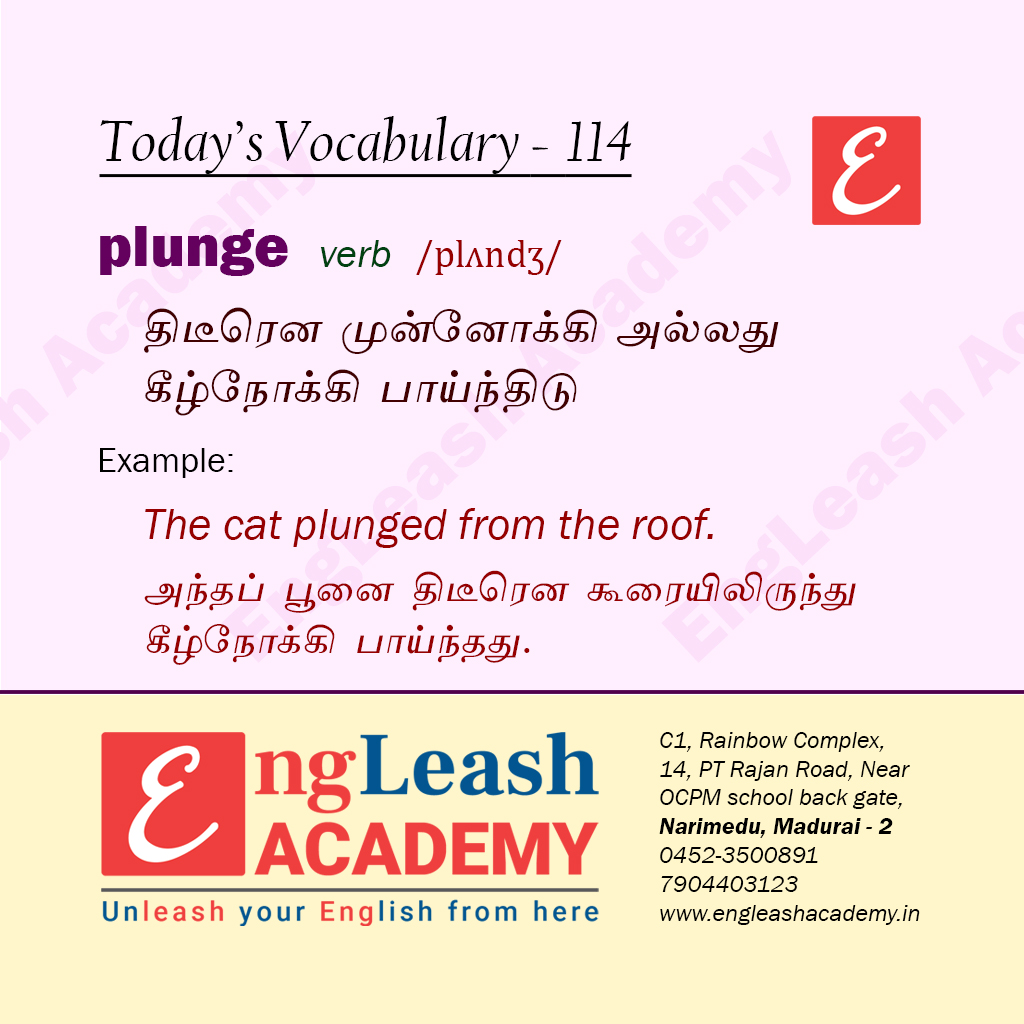 114 – plunge – verb - EngLeash Academy